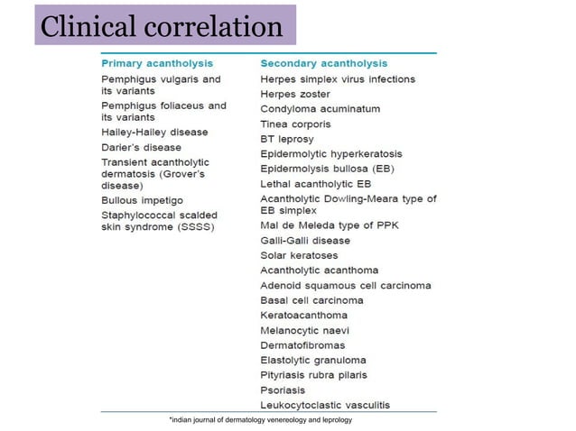Basic Pathological Reactions of the Skin - Dr Zainab Almossalli | PPT