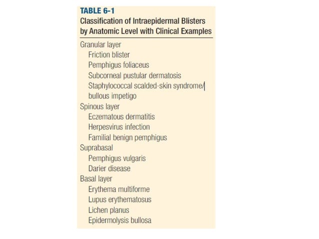 Basic Pathological Reactions of the Skin - Dr Zainab Almossalli | PPT
