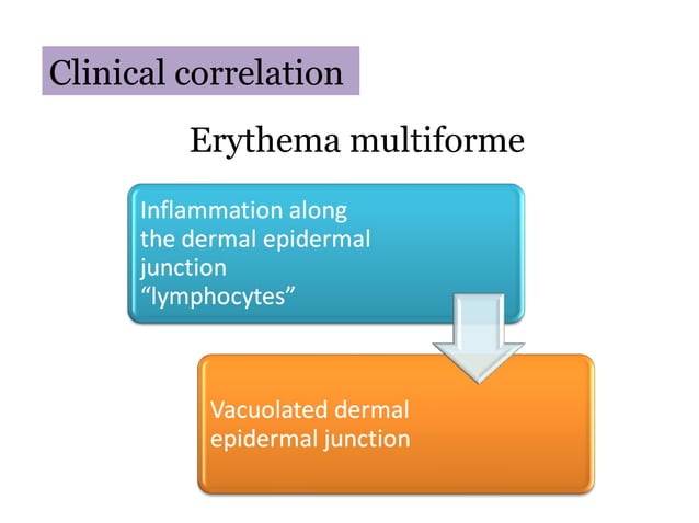Basic Pathological Reactions of the Skin - Dr Zainab Almossalli | PPT