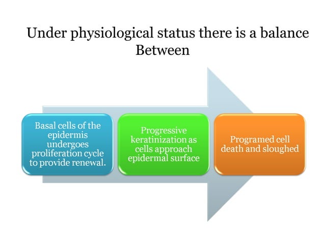 Basic Pathological Reactions of the Skin - Dr Zainab Almossalli | PPT