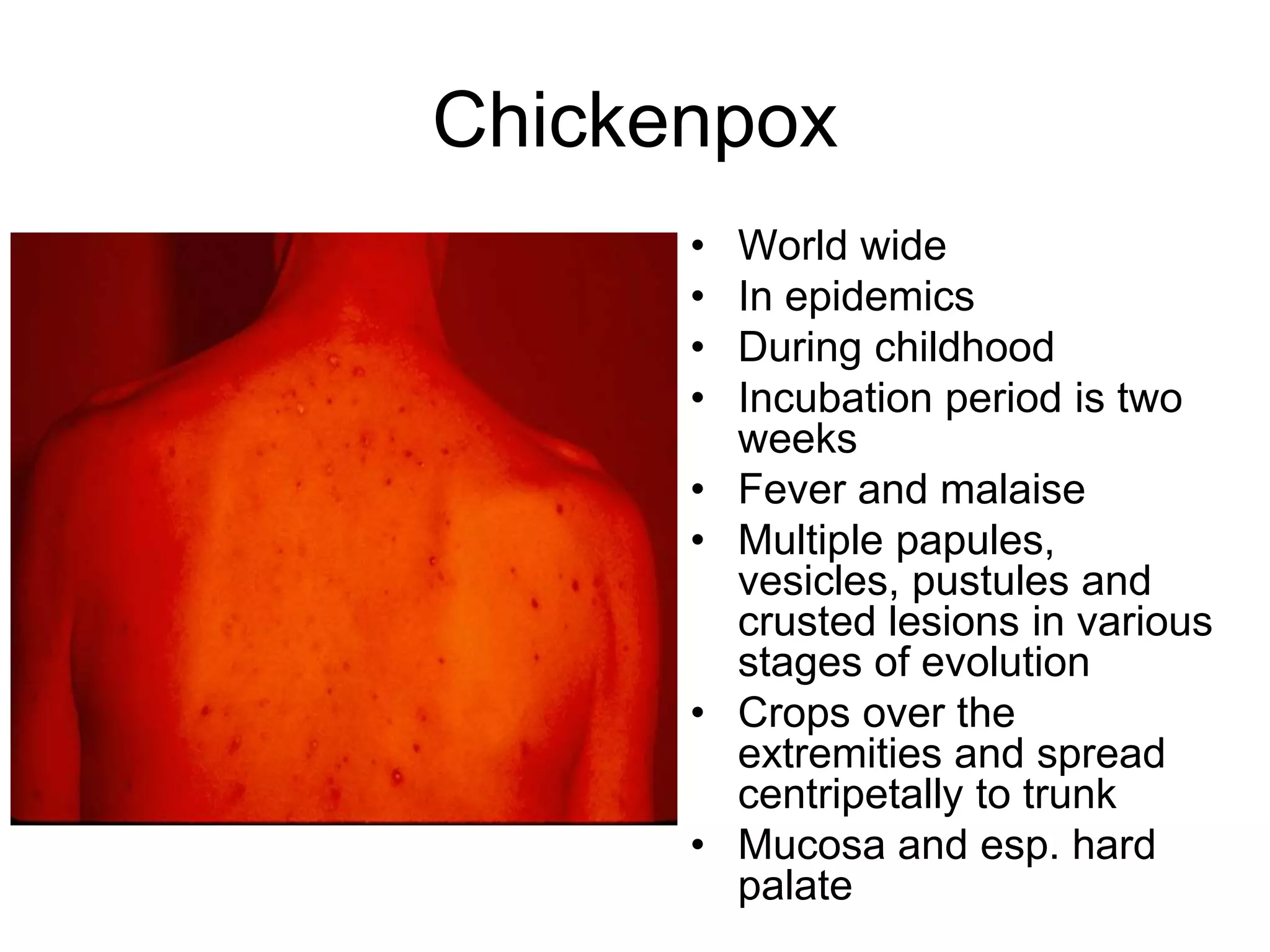 Basic pathologic skin reactions-Dr Kibbi.ppt | Free Download