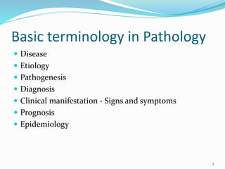 basic pathology.pdf