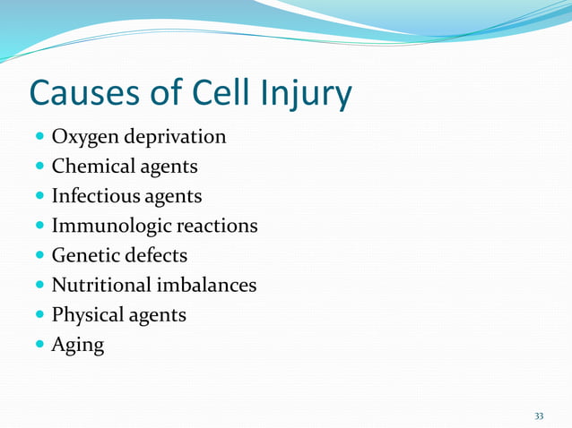 basic pathology.pdf