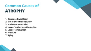 Basic Pathology .pptx