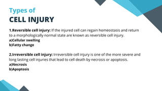 Basic Pathology .pptx