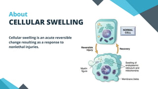 Basic Pathology .pptx