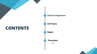 Basic Pathology Pptx