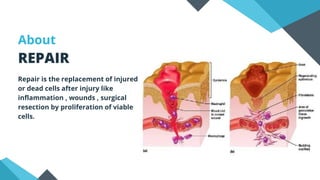 Basic Pathology .pptx