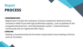 Basic Pathology .pptx