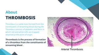 Basic Pathology .pptx