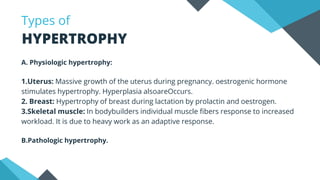 Basic Pathology .pptx