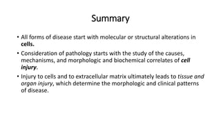 Basic Pathology I.pptx