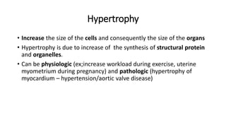 Basic Pathology I.pptx
