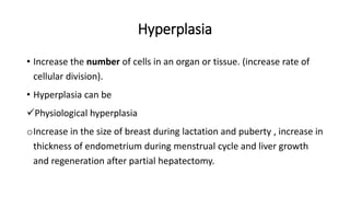 Basic Pathology I.pptx