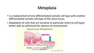 Basic Pathology I.pptx