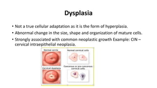 Basic Pathology I.pptx