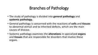 Basic Pathology I.pptx