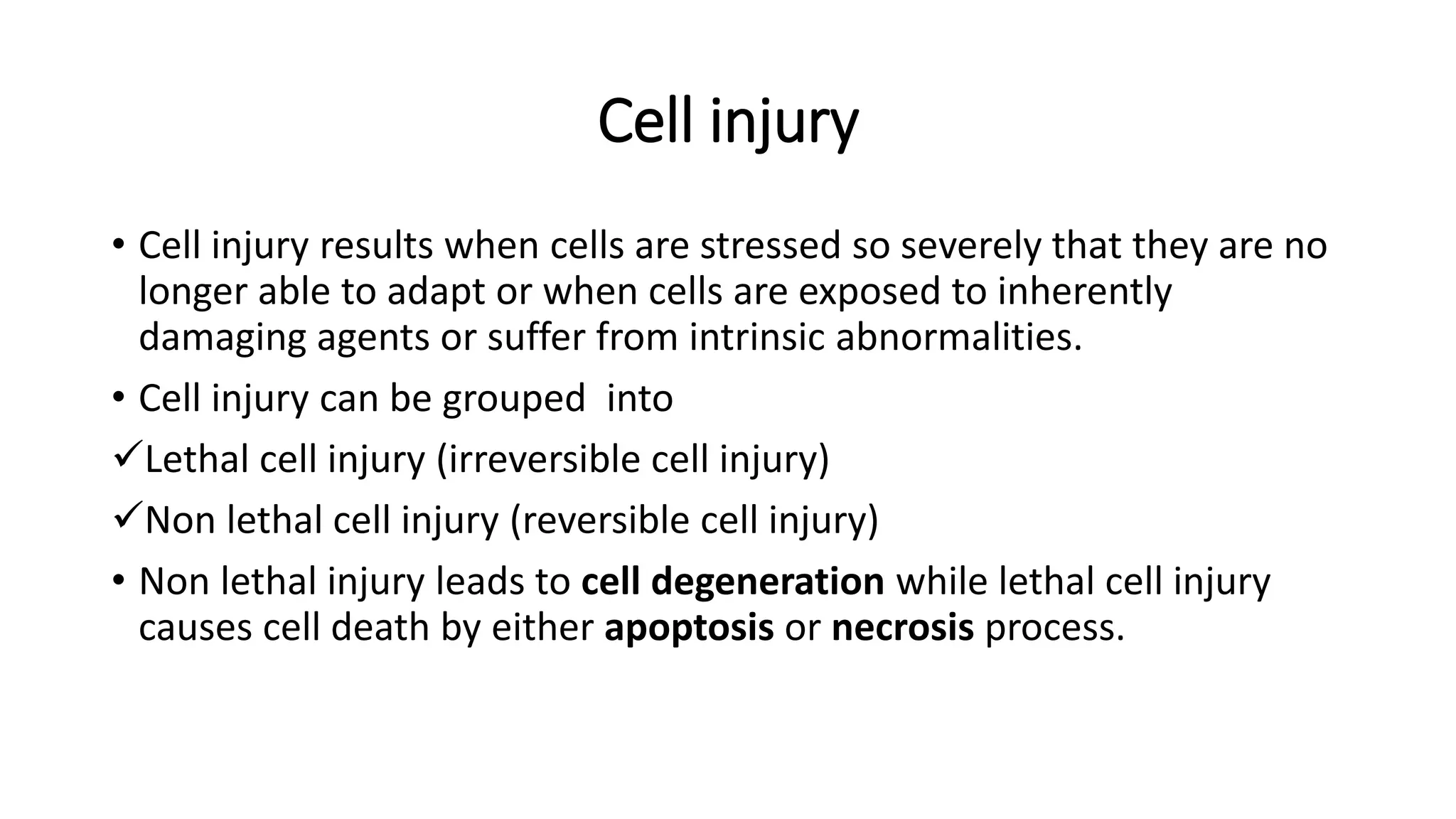 Basic Pathology II.pptx