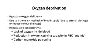 Basic Pathology II.pptx