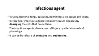 Basic Pathology II.pptx