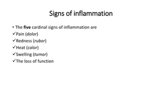 Basic Pathology II.pptx