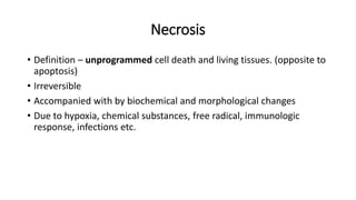 Basic Pathology II.pptx