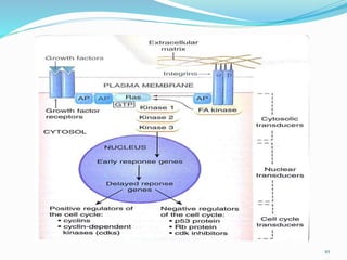 Basic pathophysiology of_cancer_by_fahim | PPTX