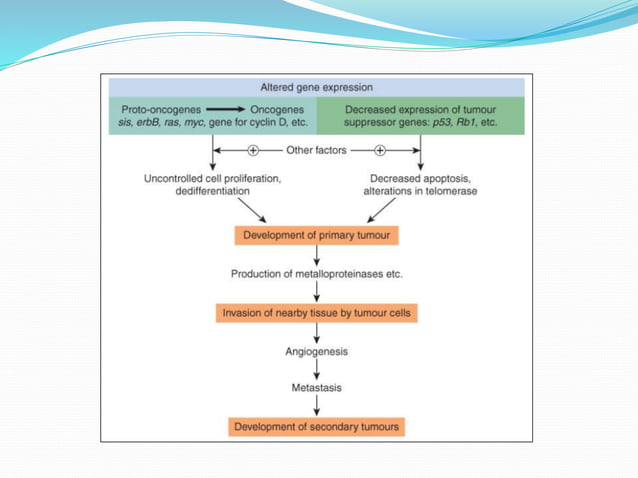 Basic pathophysiology of_cancer_by_fahim | PPTX