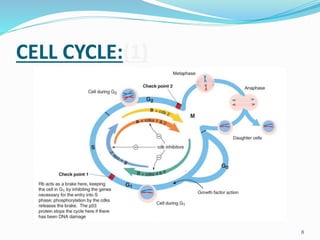 Basic pathophysiology of_cancer_by_fahim | PPTX