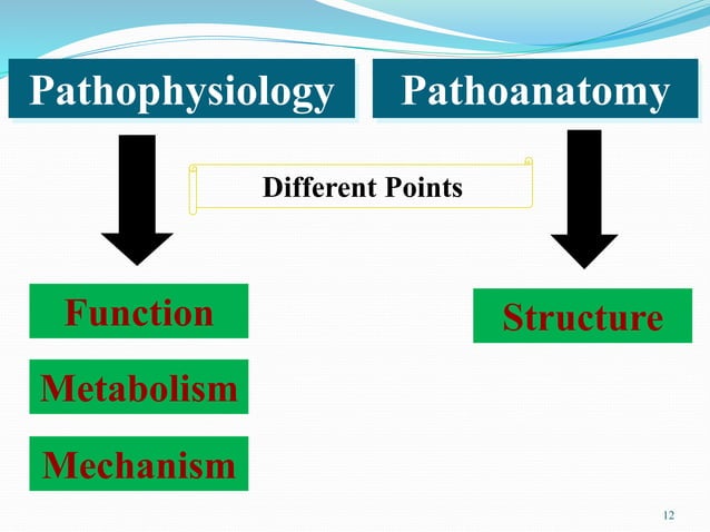 basic pathophysiology.pdf