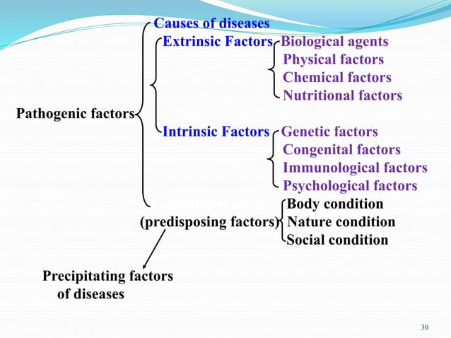 basic pathophysiology.pdf