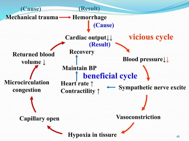 basic pathophysiology.pdf
