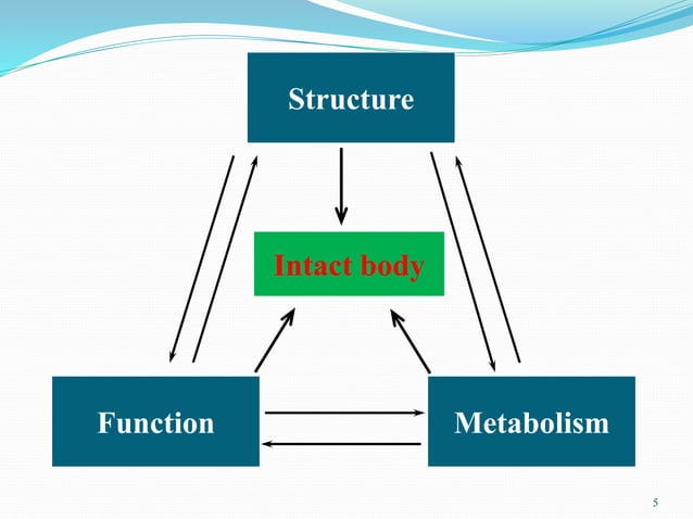 basic pathophysiology.pdf