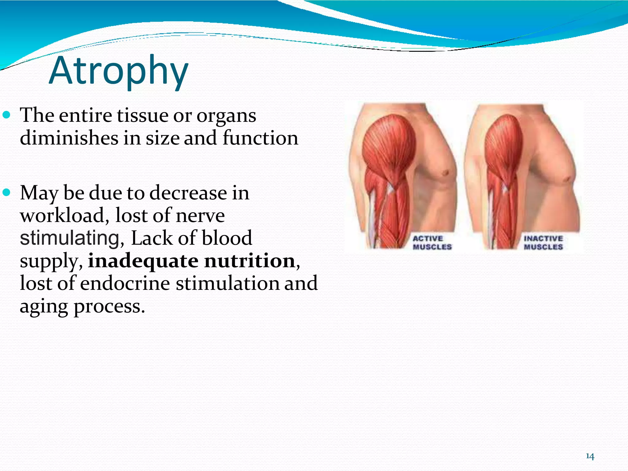 Basic pathophysiology.pptx