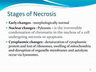 Basic pathophysiology.pptx