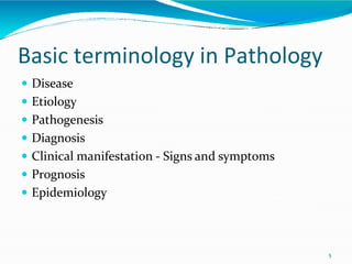 Basic pathophysiology.pptx
