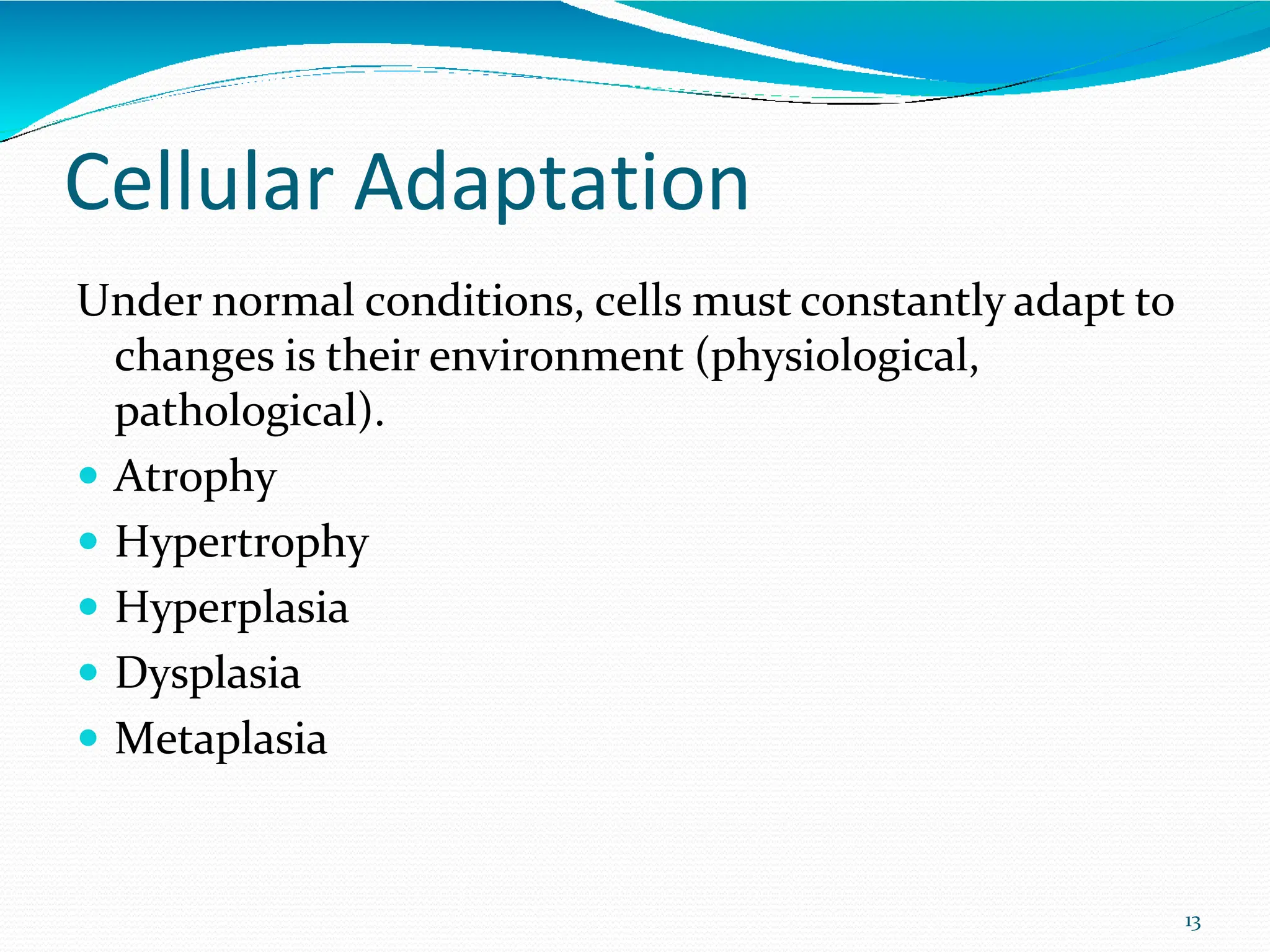 Basic pathophysiology.pptx