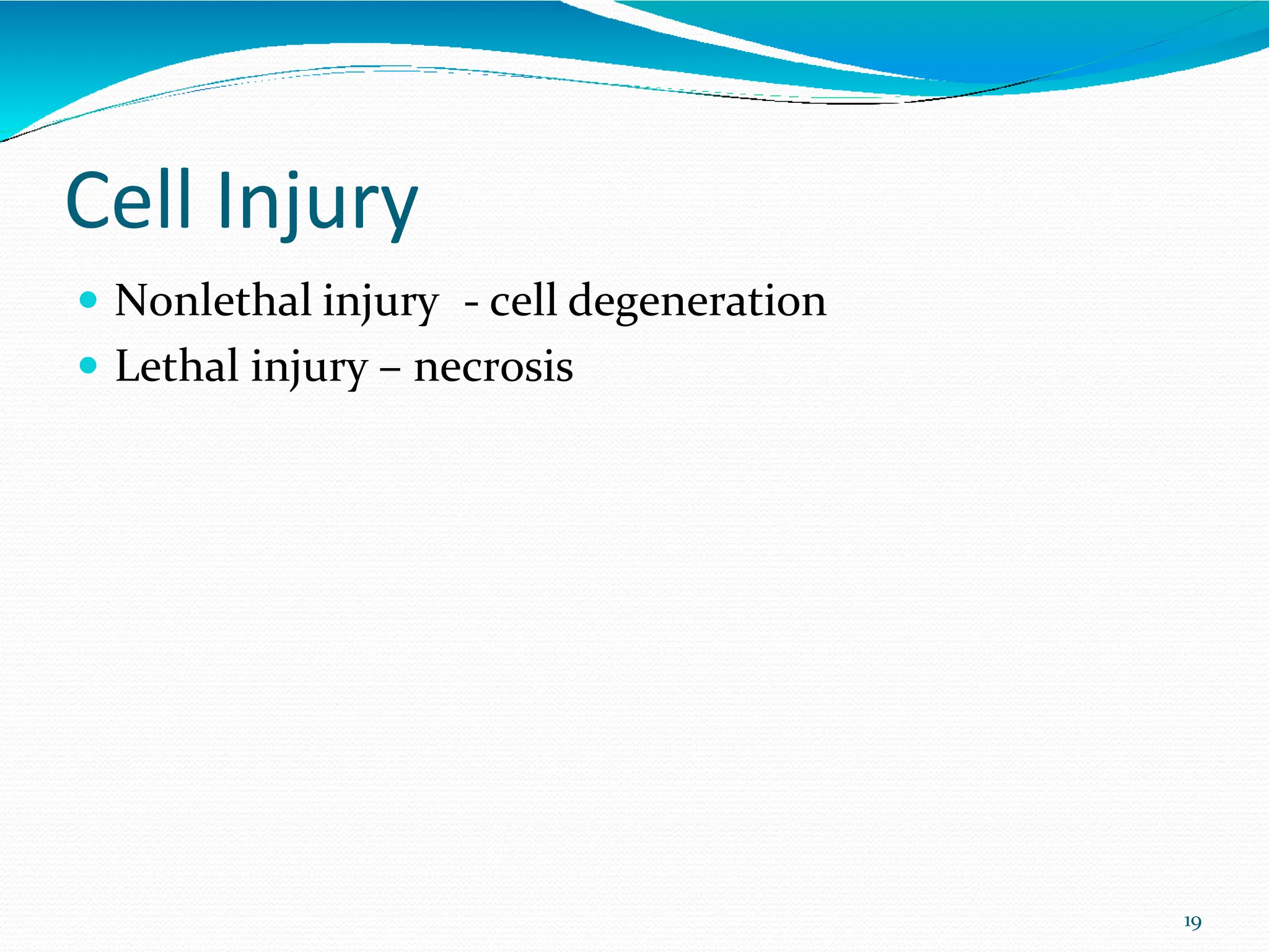 Basic pathophysiology.pptx