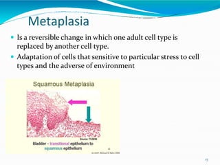 Basic pathophysiology.pptx