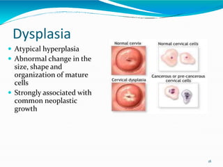 Basic pathophysiology.pptx