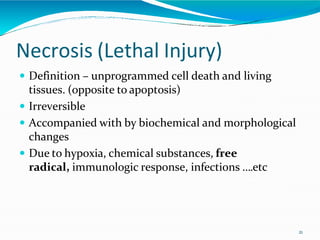 Basic pathophysiology.pptx