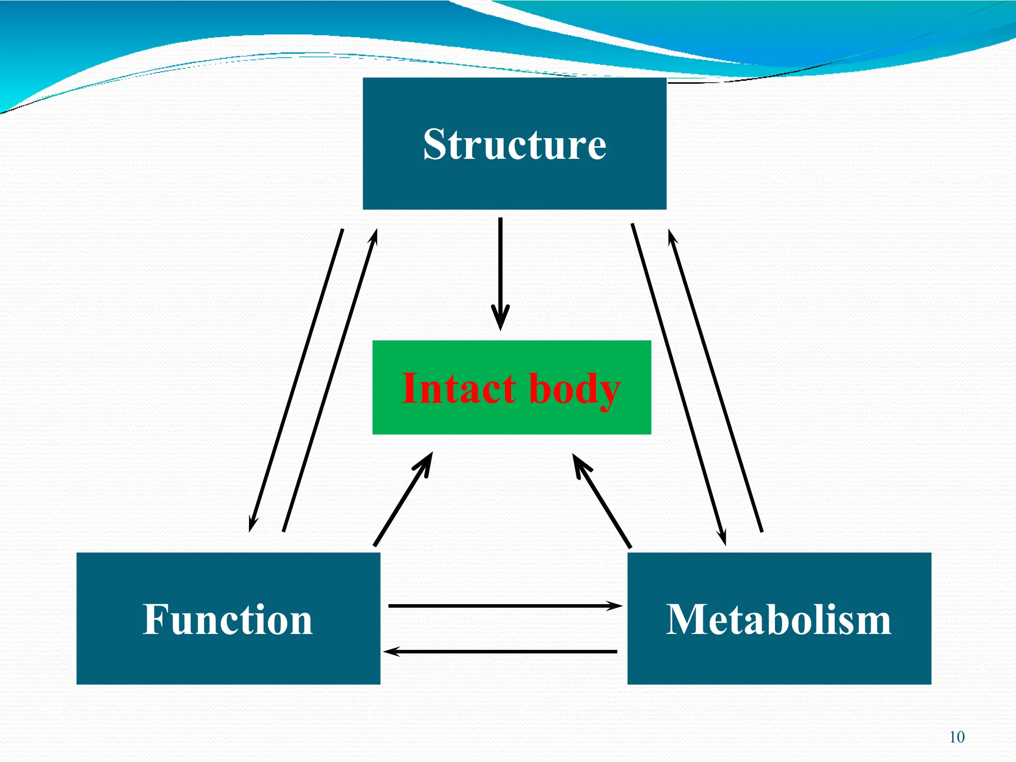 Basic pathophysiology lecture 2.pptx