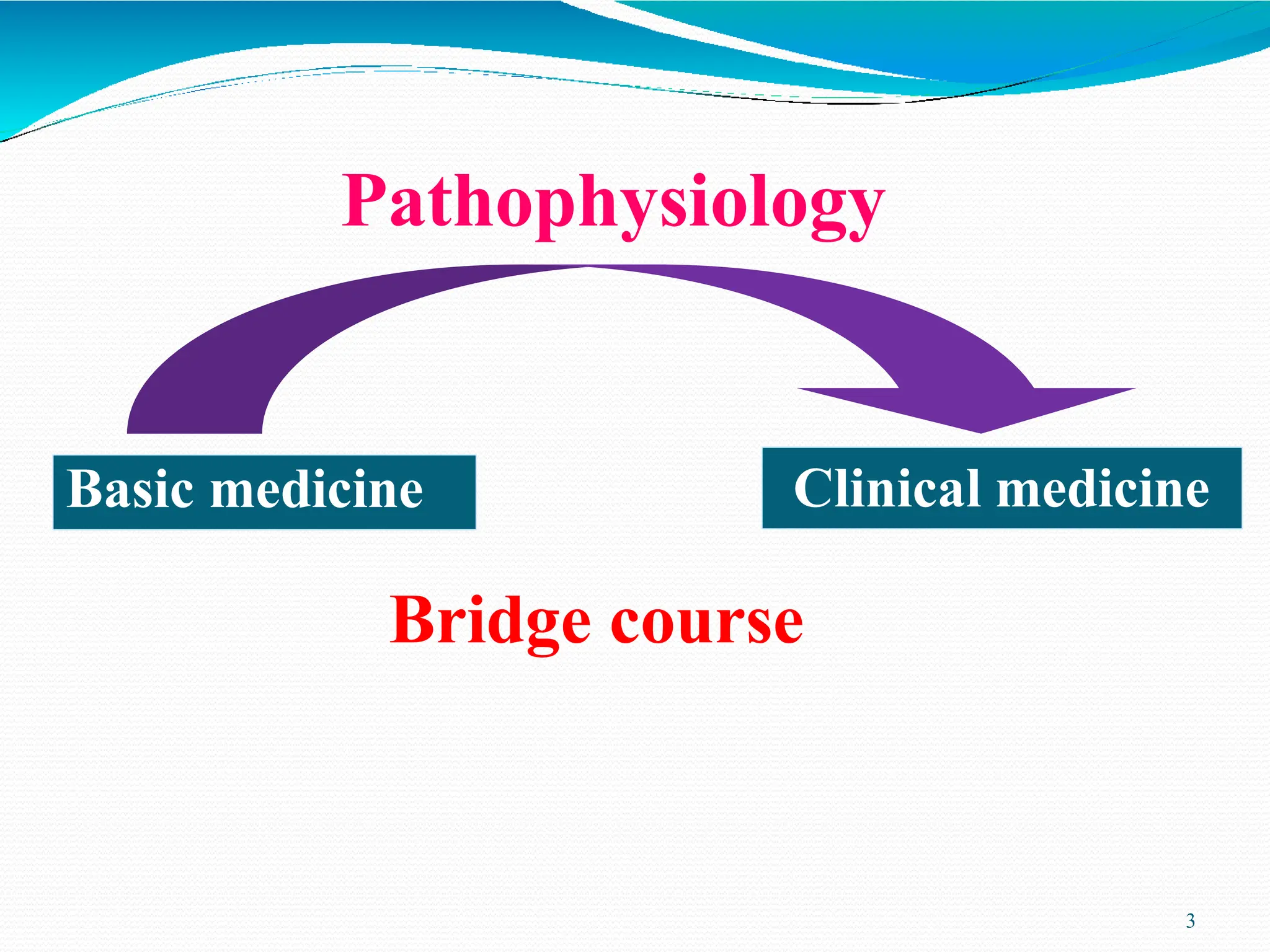 Basic pathophysiology lecture 2.pptx
