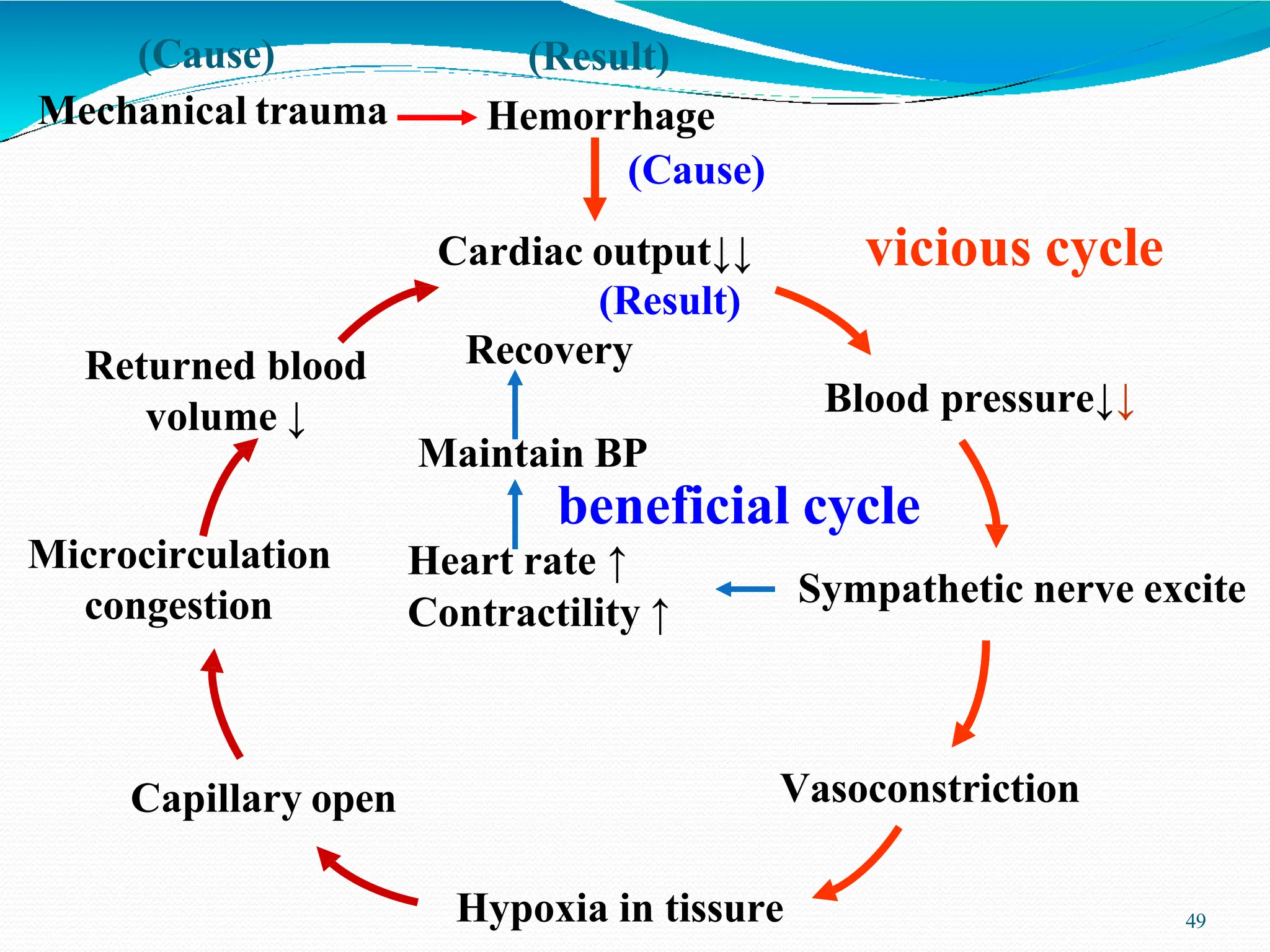 Basic pathophysiology lecture 2.pptx