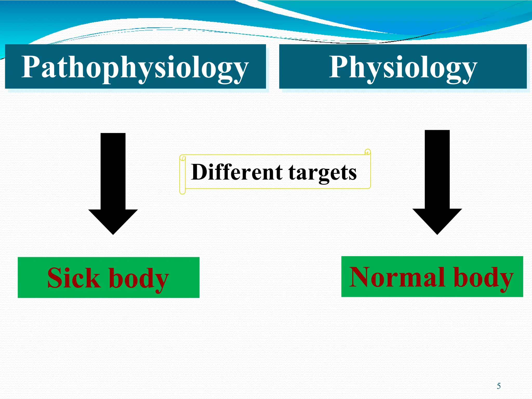 Basic pathophysiology lecture 2.pptx