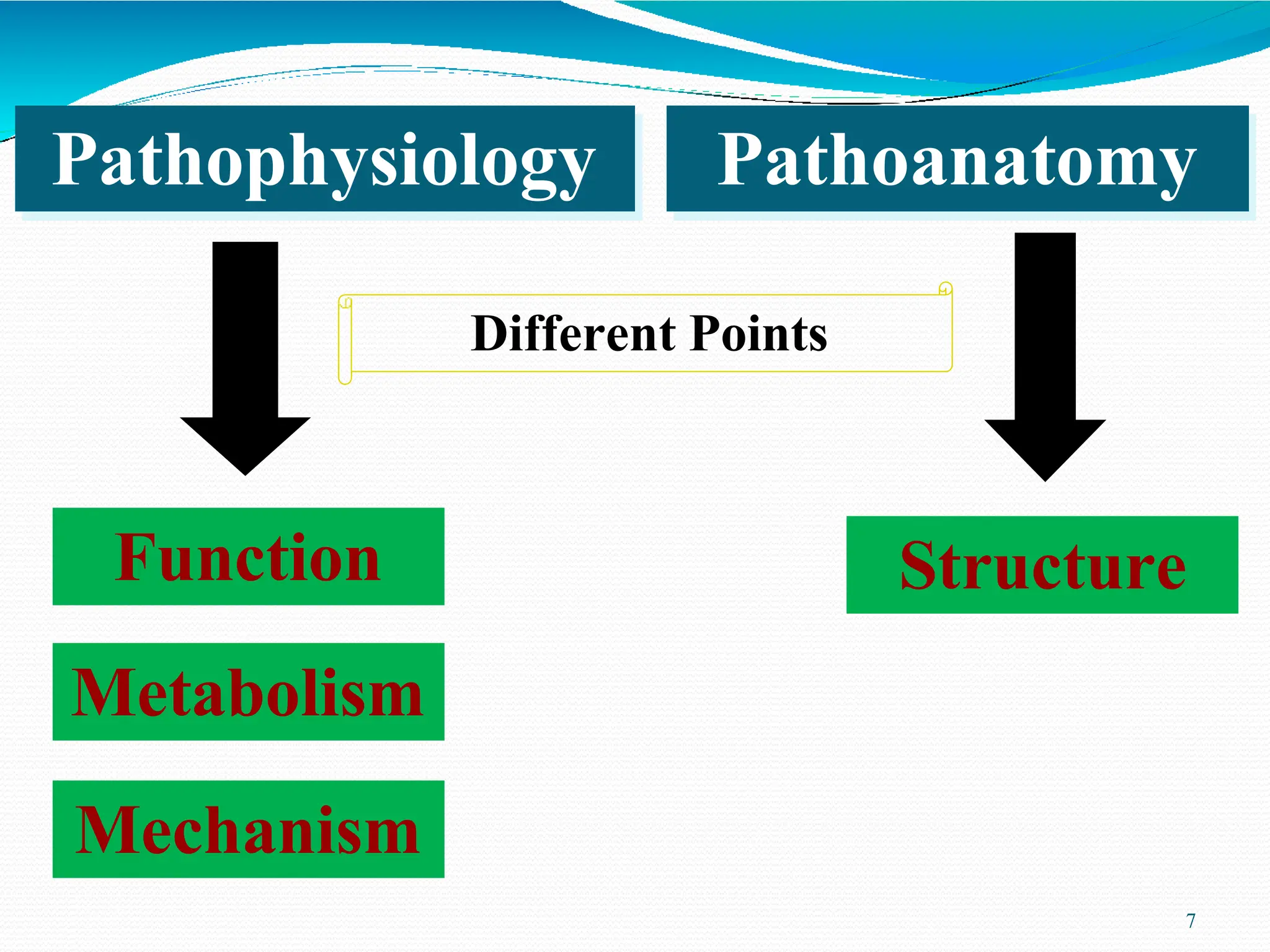 Basic pathophysiology lecture 2.pptx