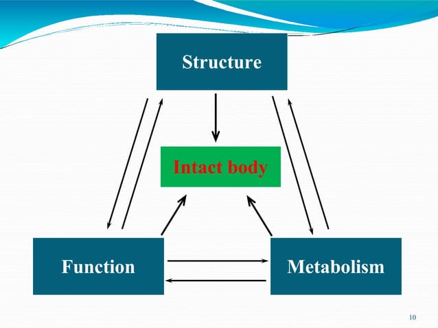 Basic pathophysiology lecture 2.pptx