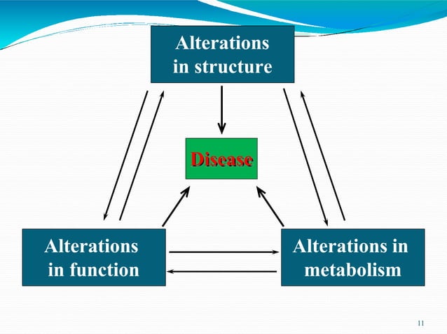 Basic pathophysiology lecture 2.pptx