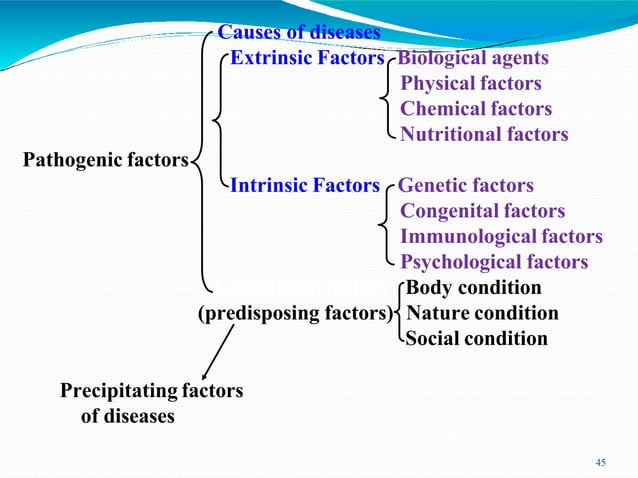 Basic pathophysiology lecture 2.pptx