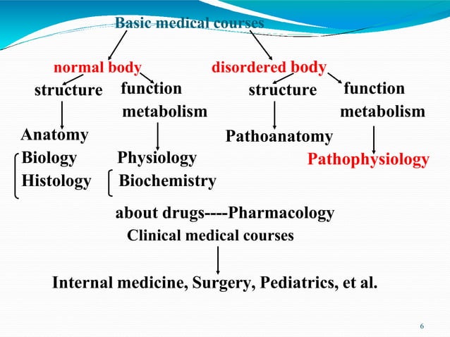 Basic pathophysiology lecture 2.pptx